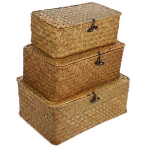 rattan storage basket makeup organizer multipurpose container with lid (s/m/l)