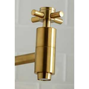 Kingston Brass KS8107DX Wall Mount Pot Filler Kitchen Faucet, Brushed Brass