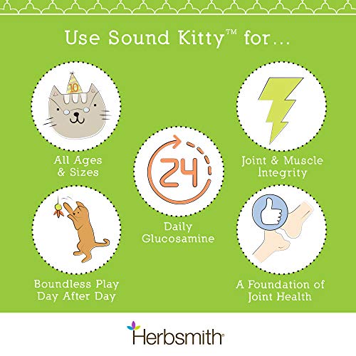 Herbsmith Sound Kitty – 5-in-1 Joint Care for Cats with Chondroitin, Glucosamine & MSM – 75g