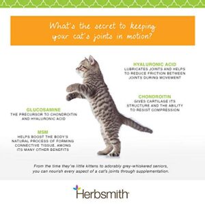 Herbsmith Sound Kitty – 5-in-1 Joint Care for Cats with Chondroitin, Glucosamine & MSM – 75g