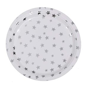 Ottin White and Silver Stars Paper Plates 9'' 48 Counts Twinkle Twinkle Little Star Party Plates for Wedding Birthday Bridal Shower Christmas New Year Winter Party Mother's Day