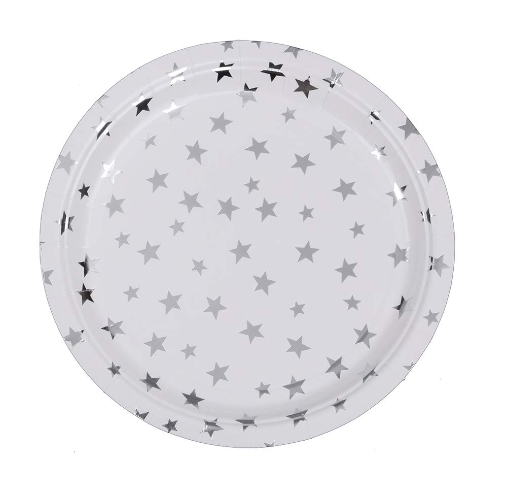 Ottin White and Silver Stars Paper Plates 9'' 48 Counts Twinkle Twinkle Little Star Party Plates for Wedding Birthday Bridal Shower Christmas New Year Winter Party Mother's Day