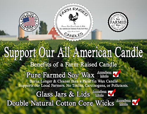 Black Raspberry Vanilla 2 Pack 12 Cubes 6 Ounces Total Scented Flameless Soy Wax Melts 100% Natural American Farmed Soy Wax. Premium Fragrance Oils, Smokeless Candles, Vegan Friendly