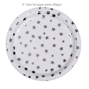 Ottin White and Silver Stars Paper Plates 9'' 48 Counts Twinkle Twinkle Little Star Party Plates for Wedding Birthday Bridal Shower Christmas New Year Winter Party Mother's Day