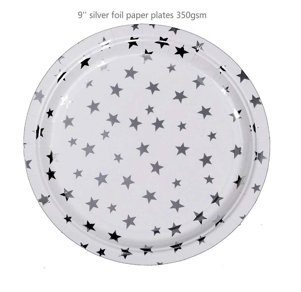 Ottin White and Silver Stars Paper Plates 9'' 48 Counts Twinkle Twinkle Little Star Party Plates for Wedding Birthday Bridal Shower Christmas New Year Winter Party Mother's Day