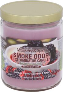 smoke odor exterminator mulberry and spice candle 13 oz - pack of 2