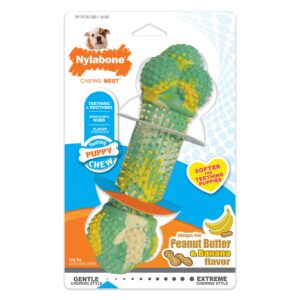 Nylabone Flavor Frenzy Puppy Chew - Puppy Chew Toys for Teething - Puppy Supplies - Peanut Butter & Banana Flavor, Medium/Wolf (1 Count)