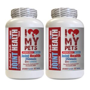 I LOVE MY PETS LLC Hip and Joint Supplements - Joint Health for Dogs - with Turmeric - MSM - Premium - Dog msm glucosamine - 120 Treats (2 Bottles)