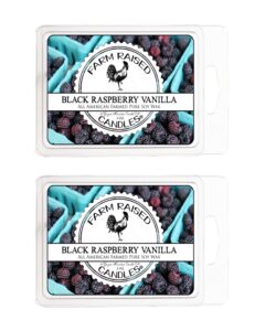 black raspberry vanilla 2 pack 12 cubes 6 ounces total scented flameless soy wax melts 100% natural american farmed soy wax. premium fragrance oils, smokeless candles, vegan friendly