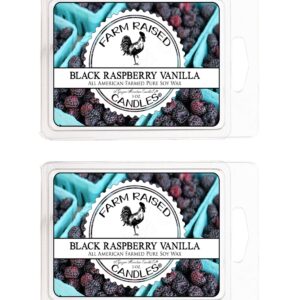 Black Raspberry Vanilla 2 Pack 12 Cubes 6 Ounces Total Scented Flameless Soy Wax Melts 100% Natural American Farmed Soy Wax. Premium Fragrance Oils, Smokeless Candles, Vegan Friendly