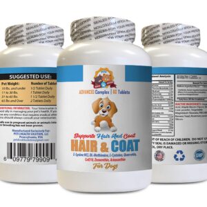 Dog Hair and Skin Vitamins - Dog Hair and Coat Health - Skin Itch Relief - Nail Health - Vitamin d for Dogs - 1 Bottle (60 Tablets)