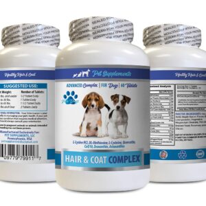 PET SUPPLEMENTS Immune Dog Treats - Dogs Hair and Coat Complex - Advanced Skin Relief - Good for Nails - Dog Vitamins Coat - 1 Bottle (60 Tablets)