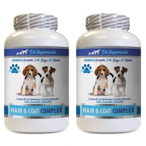 Immune Booster for Dogs - Dogs Hair and Coat Complex - Advanced Skin Relief - Good for Nails - Dog Vitamin b6-2 Bottles (120 Tablets)