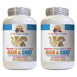 Coat Health Dog Treats - Pets Hair and Coat Boost - for Dogs and Cats - Supports Healthy Skin Hair Nails - Vitamin b3 for Dogs - 2 Bottles (120 Tablets)