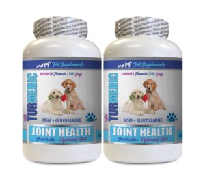 pet supplements advanced hip and joint for dogs - turmeric joint health for dogs - advanced formula for joints - glucosamine chondroitin for dogs pills - 2 bottles (120 tablets)