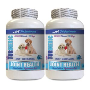 PET SUPPLEMENTS Advanced Hip and Joint for Dogs - Turmeric Joint Health for Dogs - Advanced Formula for Joints - glucosamine chondroitin for Dogs Pills - 2 Bottles (120 Tablets)