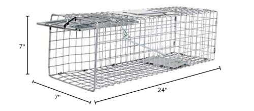 Heavy Duty Catch Release Medium Live Humane Animal Cage Trap for Rats, Squirrels, Chipmunks, Weasels and Other Similar Sized Animals 24x7x7