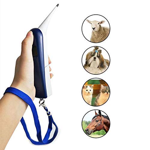 Aurynns Pet Thermometer Dog Thermometer, Fast Digital Veterinary Thermometer, Pet Thermometer for Dogs, Cats, Horse,Cattle, Pigs,Birds, Sheep.C/F Switchable (Blue)