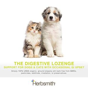 Herbsmith Organic Slippery Elm - Digestive Aid for Dogs and Cats - Constipation and Diarrhea Relief for Dogs and Cats - Megaesophagus Dog Aid- 75g