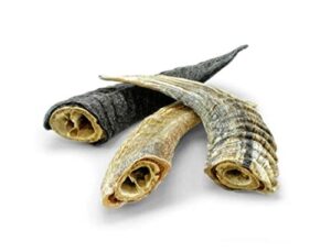 icelandic+ small lamb horn with marrow dog treat - 100% all natural premium small 4-4.7" (0.7-oz to 1.4-oz) dog chews (pack of 3)