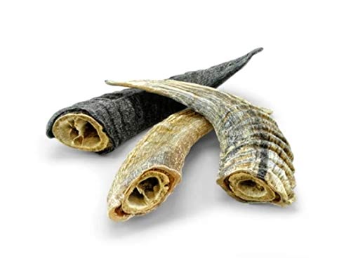 Icelandic+ Small Lamb Horn with Marrow Dog Treat - 100% All Natural Premium Small 4-4.7" (0.7-oz to 1.4-oz) Dog Chews (Pack of 3)