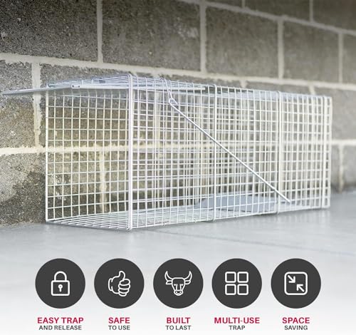 Heavy Duty Catch Release Medium Live Humane Animal Cage Trap for Rats, Squirrels, Chipmunks, Weasels and Other Similar Sized Animals 24x7x7