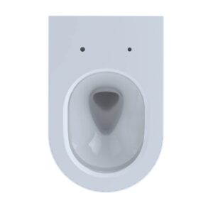 TOTO CT447CFG#01 Toilets and Bidets, Cotton