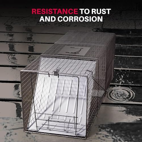 Heavy Duty Catch Release Medium Live Humane Animal Cage Trap for Rats, Squirrels, Chipmunks, Weasels and Other Similar Sized Animals 24x7x7