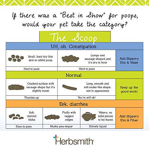 Herbsmith Organic Slippery Elm - Digestive Aid for Dogs and Cats - Constipation and Diarrhea Relief for Dogs and Cats - Megaesophagus Dog Aid- 75g