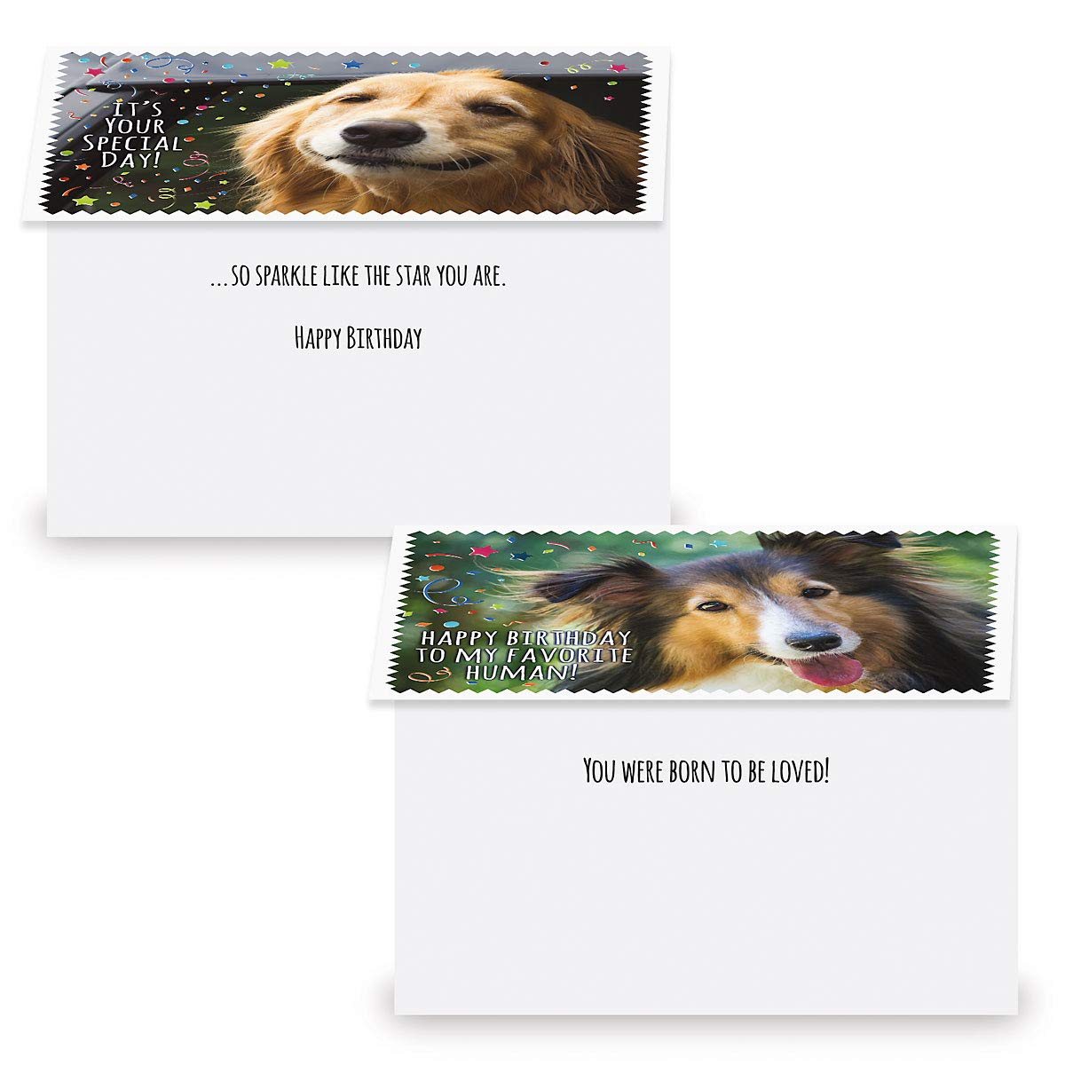 Current Furry Pals Birthday Greeting Card Value Pack – Set of 12 (4 Designs), Large 5 x 7 inches, Envelopes Included