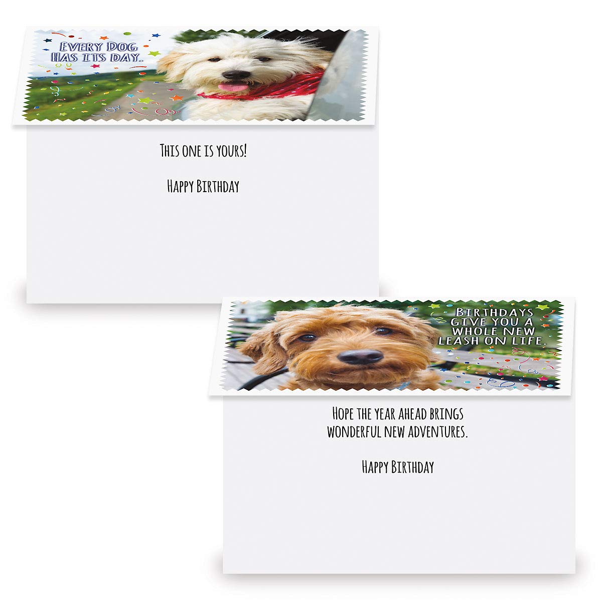 Current Furry Pals Birthday Greeting Card Value Pack – Set of 12 (4 Designs), Large 5 x 7 inches, Envelopes Included