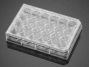 corning 353226, clear cell culture plate 24 well flat-bottom w/lid, 36 per case