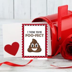 Silly Goose Gifts Poop Emoji Funny Themed Valentine Day Classroom Sharing Card Set (24 Included) Class Exchange Kids Valentine's Pack