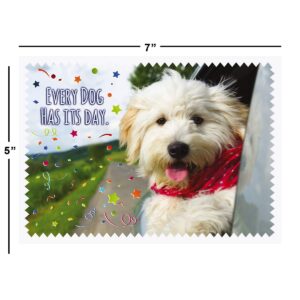 Current Furry Pals Birthday Greeting Card Value Pack – Set of 12 (4 Designs), Large 5 x 7 inches, Envelopes Included