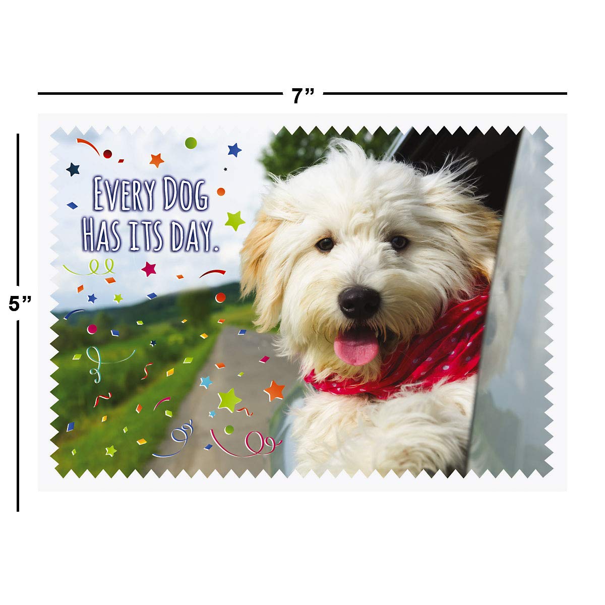 Current Furry Pals Birthday Greeting Card Value Pack – Set of 12 (4 Designs), Large 5 x 7 inches, Envelopes Included