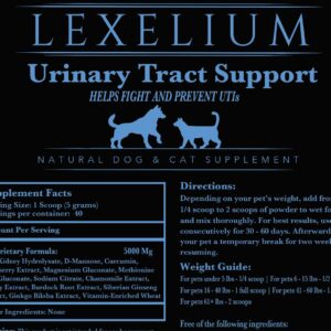 Organic Urinary Tract Infection UTI Support for Dogs and Cats - Fortified with Cranberry, D Mannose, and Curcumin - Optimizes Kidney & Bladder Function - Can Prevent Kidney/Bladder Stones - 200 G