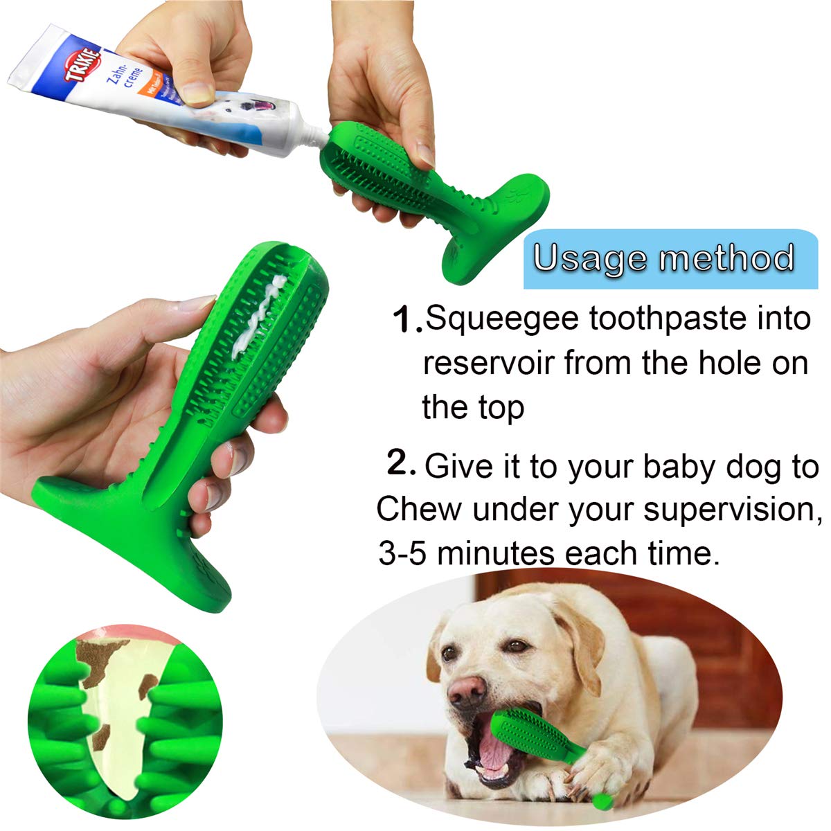 SWOEMENY Pet Dog Toothbrush, Dog Toothbrush Stick, Dog Chew Toys Natural Rubber Durable Tooth Cleaner Oral Dental Health Care Brush for Pet (19 to 40 pounds), Green