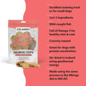 Icelandic+ Fish Chips: Salmon 2.5oz - Dog Treats, for Medium-Large Dogs, Natural 2 Ingredient Air-Dried Crunchy Treats