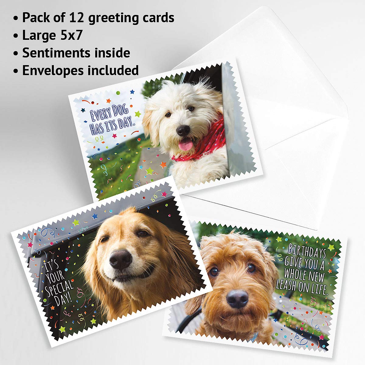 Current Furry Pals Birthday Greeting Card Value Pack – Set of 12 (4 Designs), Large 5 x 7 inches, Envelopes Included