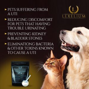 Organic Urinary Tract Infection UTI Support for Dogs and Cats - Fortified with Cranberry, D Mannose, and Curcumin - Optimizes Kidney & Bladder Function - Can Prevent Kidney/Bladder Stones - 200 G