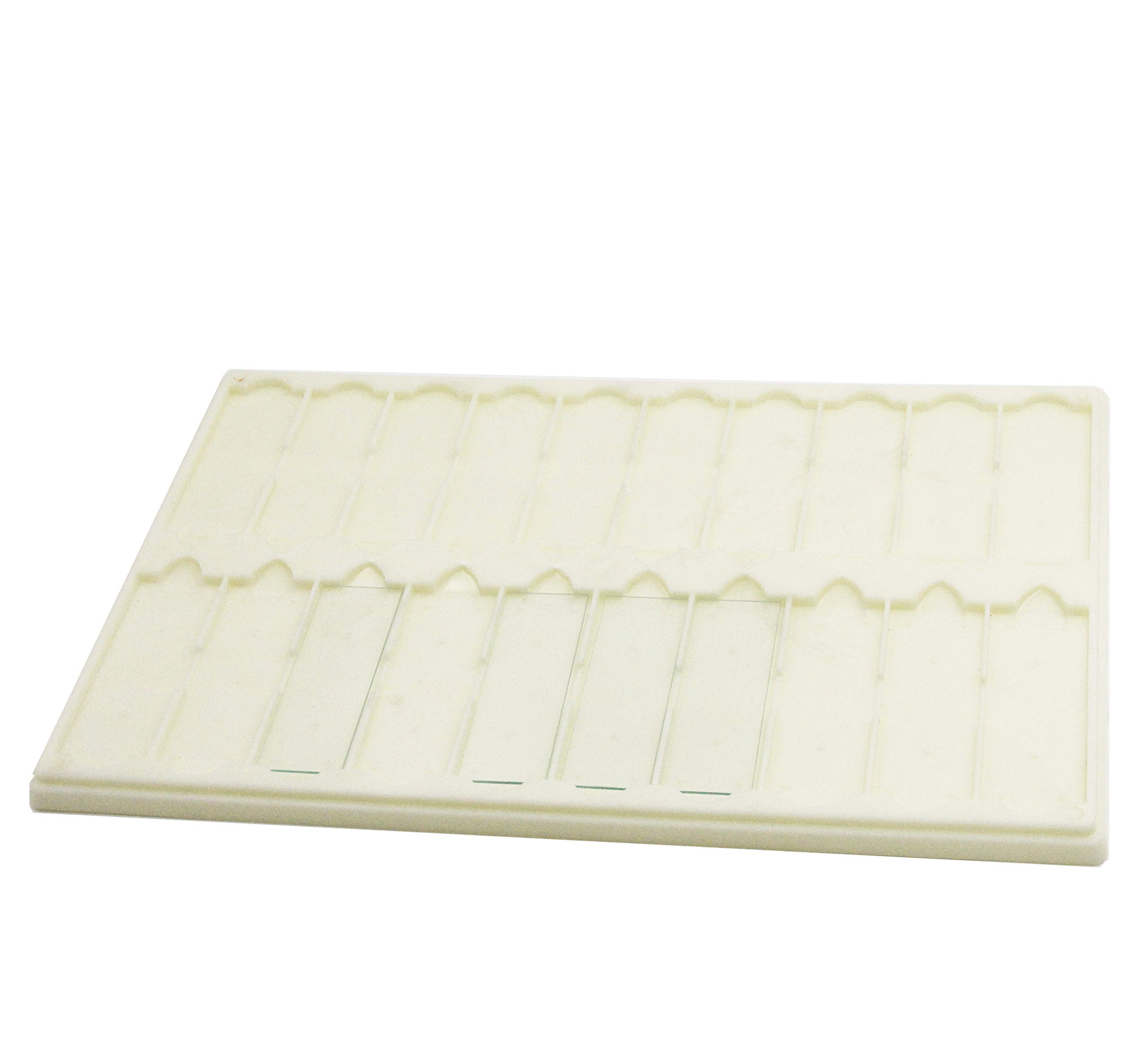 Plastic Microscope Slide Tray; 20 Capacity, Pack of 4