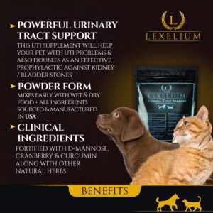 Organic Urinary Tract Infection UTI Support for Dogs and Cats - Fortified with Cranberry, D Mannose, and Curcumin - Optimizes Kidney & Bladder Function - Can Prevent Kidney/Bladder Stones - 200 G