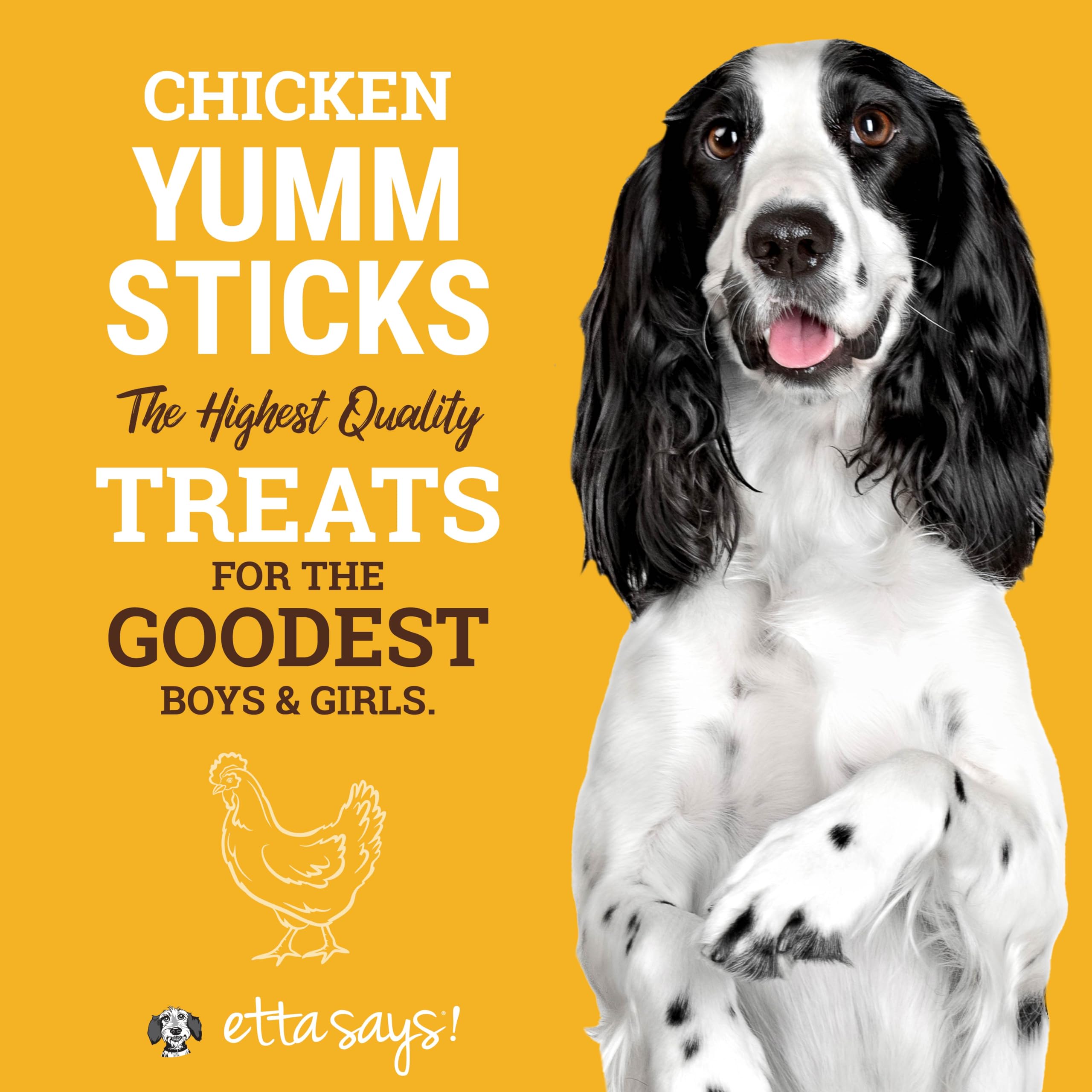 etta says! Yumm Sticks - Real Meat Chicken Dog Jerky Treats - Human Grade - Made in The USA (24 Count Pack of 1)