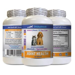 Pet Supplements Dog Joint Health Treats - Pets Turmeric Joint Health - for Dogs and Cats - Advanced Complex - Dog Turmeric Chews Organic - 1 Bottle (60 Tablets)