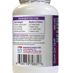 Dog Joint Supplement with tumeric - Pets Joint Health with Turmeric - Premium Ingredients - Healthy - Turmeric for Dogs Curcumin pet antioxidant - 1 Bottle (60 Treats)