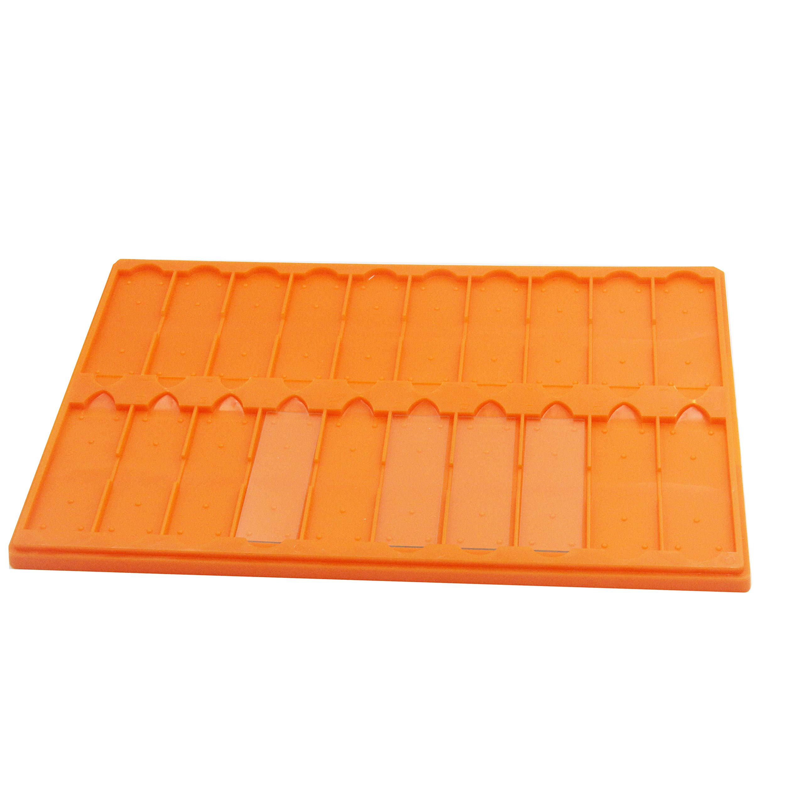 Plastic Microscope Slide Tray; 20 Capacity, Pack of 4