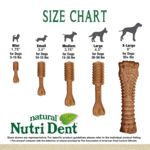 Nylabone Nutri Dent Dog Dental Treats - Natural Dog Teeth Cleaning & Breath Freshener - Dental Treats for Dogs - Filet Mignon Flavor, Mini (78 Count)