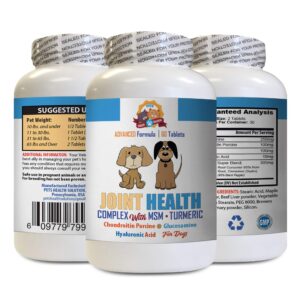 Dog Joint Health Supplements - Dogs Joint Health Complex with Turmeric and MSM - Supports Hips and Joints - Dog Turmeric glucosamine - 1 Bottle (60 Tablets)