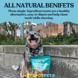 Beef Esophagus Dog Treats (6 INCHES - 25 Count) Grass Fed with No Added Hormone, All Natural Jerky Dog Treats - Dog Chews Rich in Glucosamine & Chondroitin for Joint Health