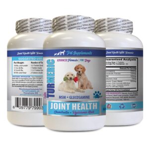 PET SUPPLEMENTS Dog Joint and Hip Supplement Chews - Turmeric Joint Health for Dogs - Advanced Formula for Joints - Turmeric for Dogs Chews - 1 Bottle (60 Tablets)